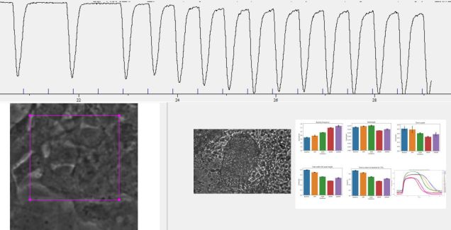 製品カテゴリー 生理・切片・生体信号 - 株式会社ブレインサイエンス・イデア